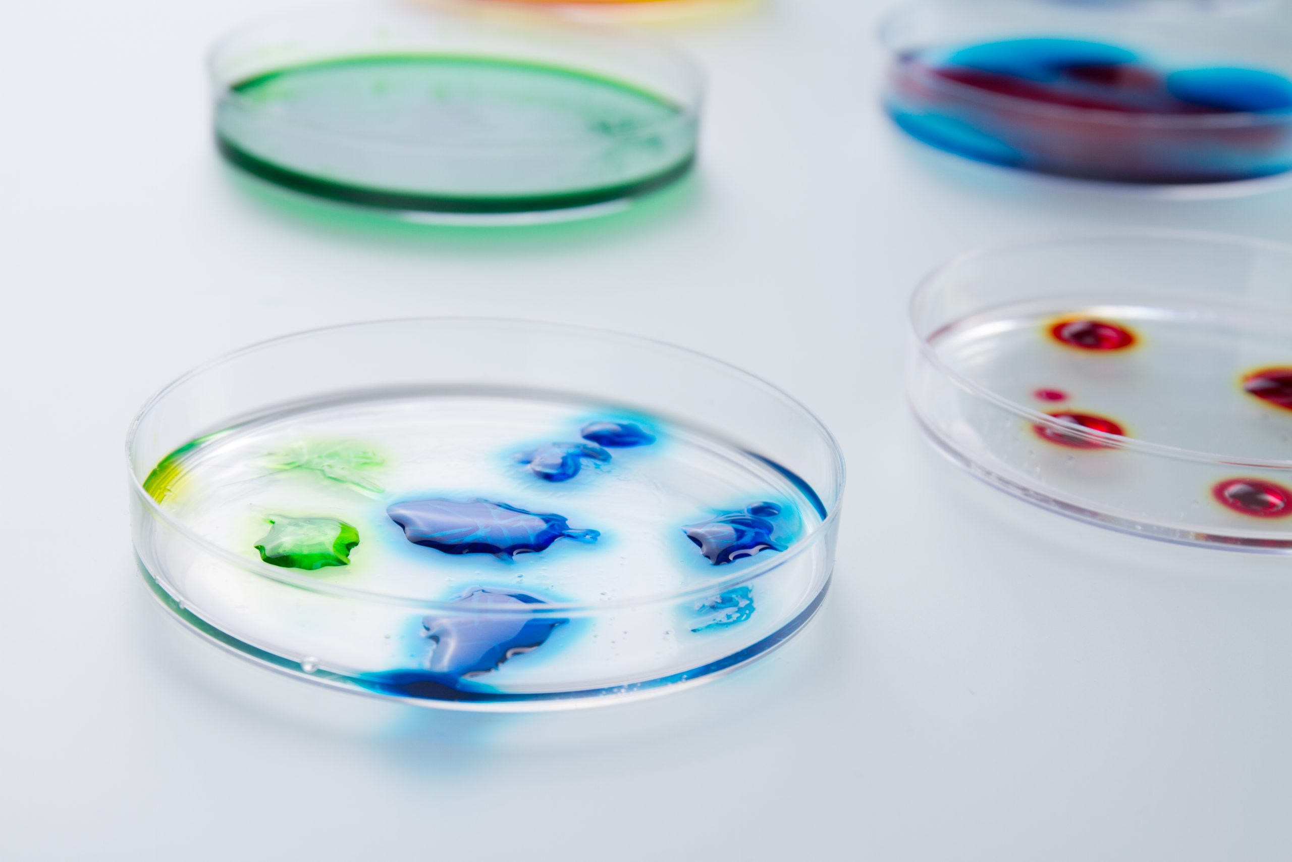Review: Biology (H) - Yeats College Galway & Waterford